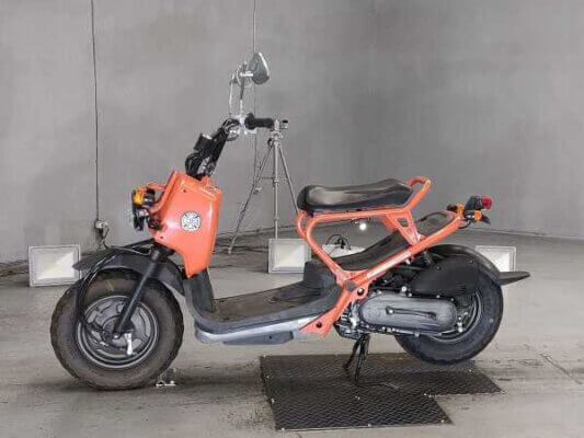 Honda Zoomer NPS50 For Sale - MY50 Motorcycles