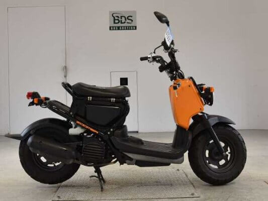 Honda Zoomer NPS50(Orange / Black) - MY50 Motorcycles